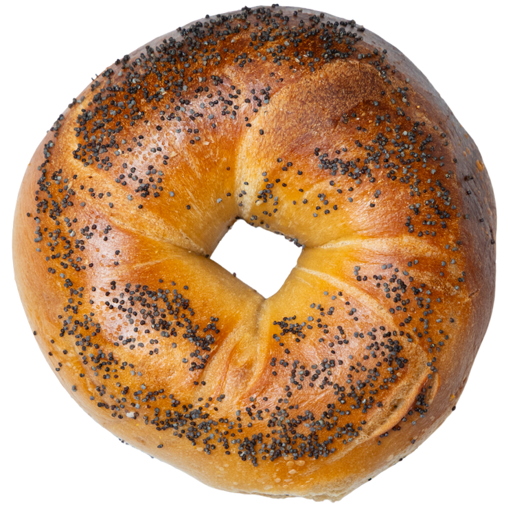 Explore Our Bagel Selection - Gotham Bagels | Fresh & Tasty — Gotham Bagels
