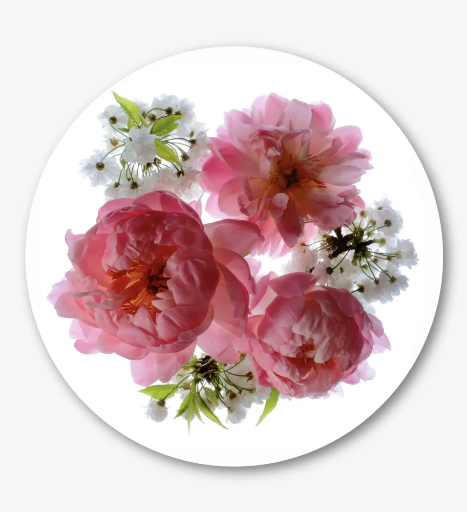 Shop — LONDON BLOOMS