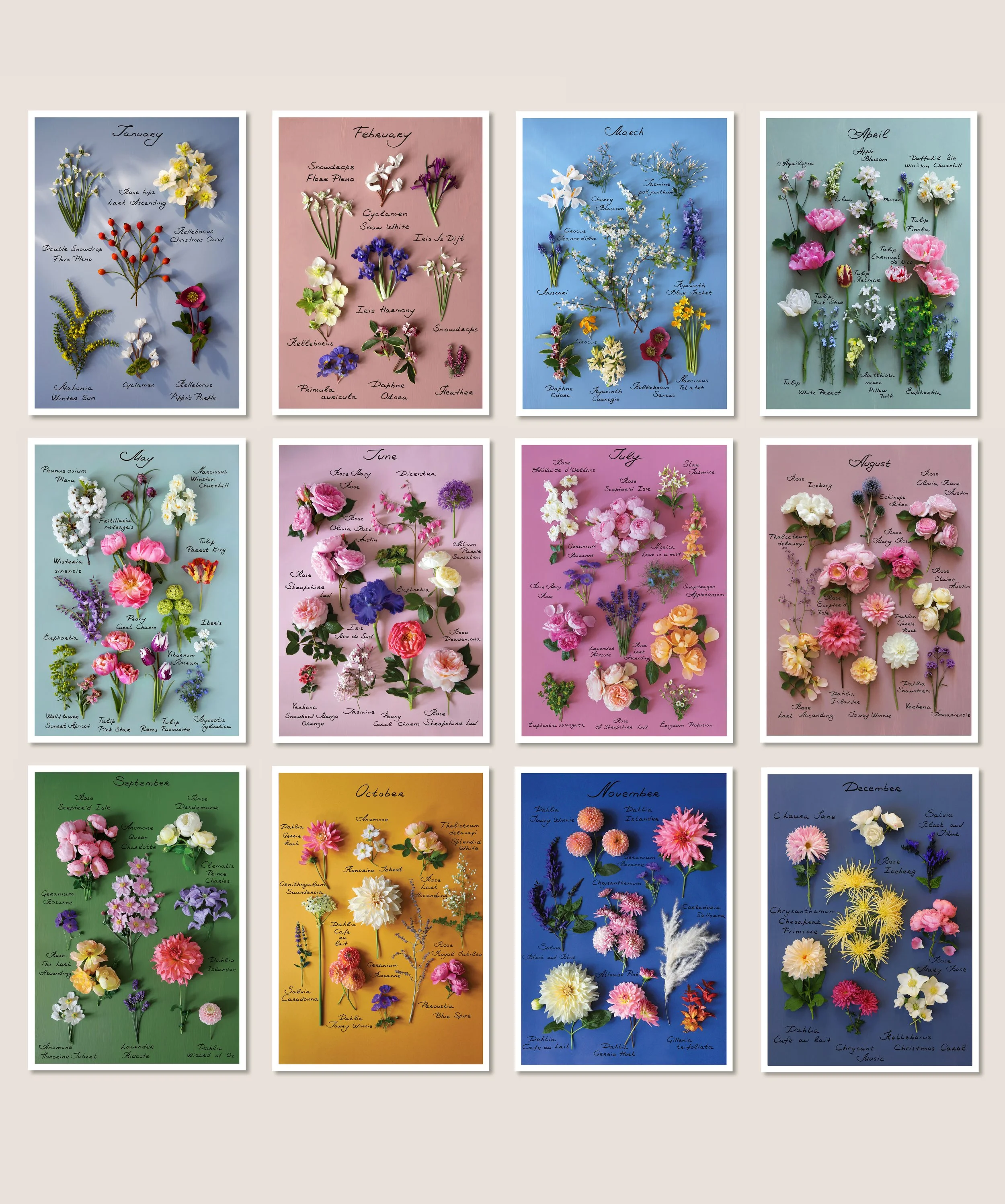 AUGUST FLOWERS — LONDON BLOOMS