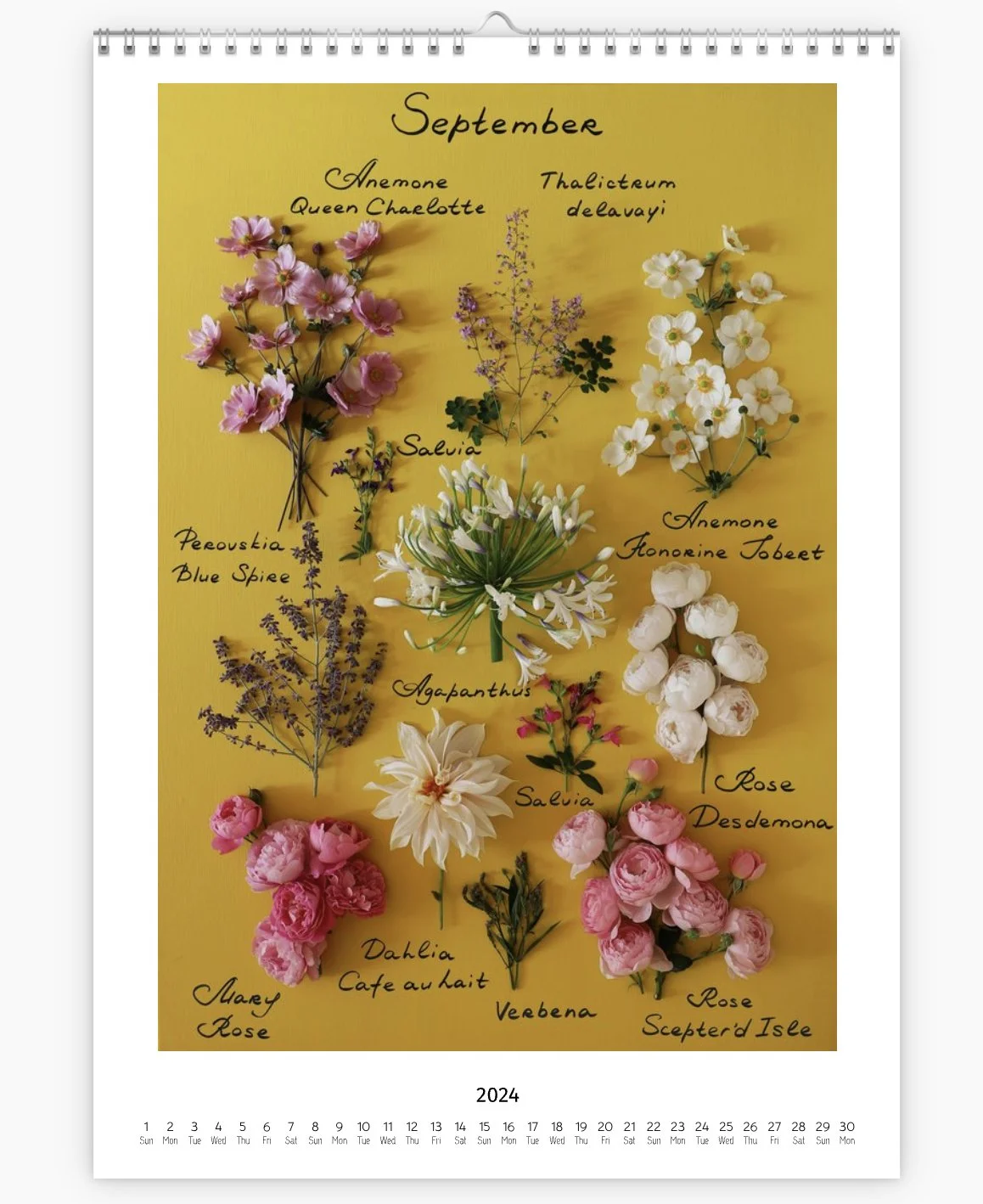 Shop — LONDON BLOOMS