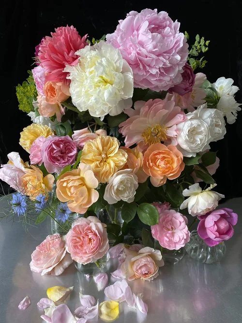 Shop — LONDON BLOOMS