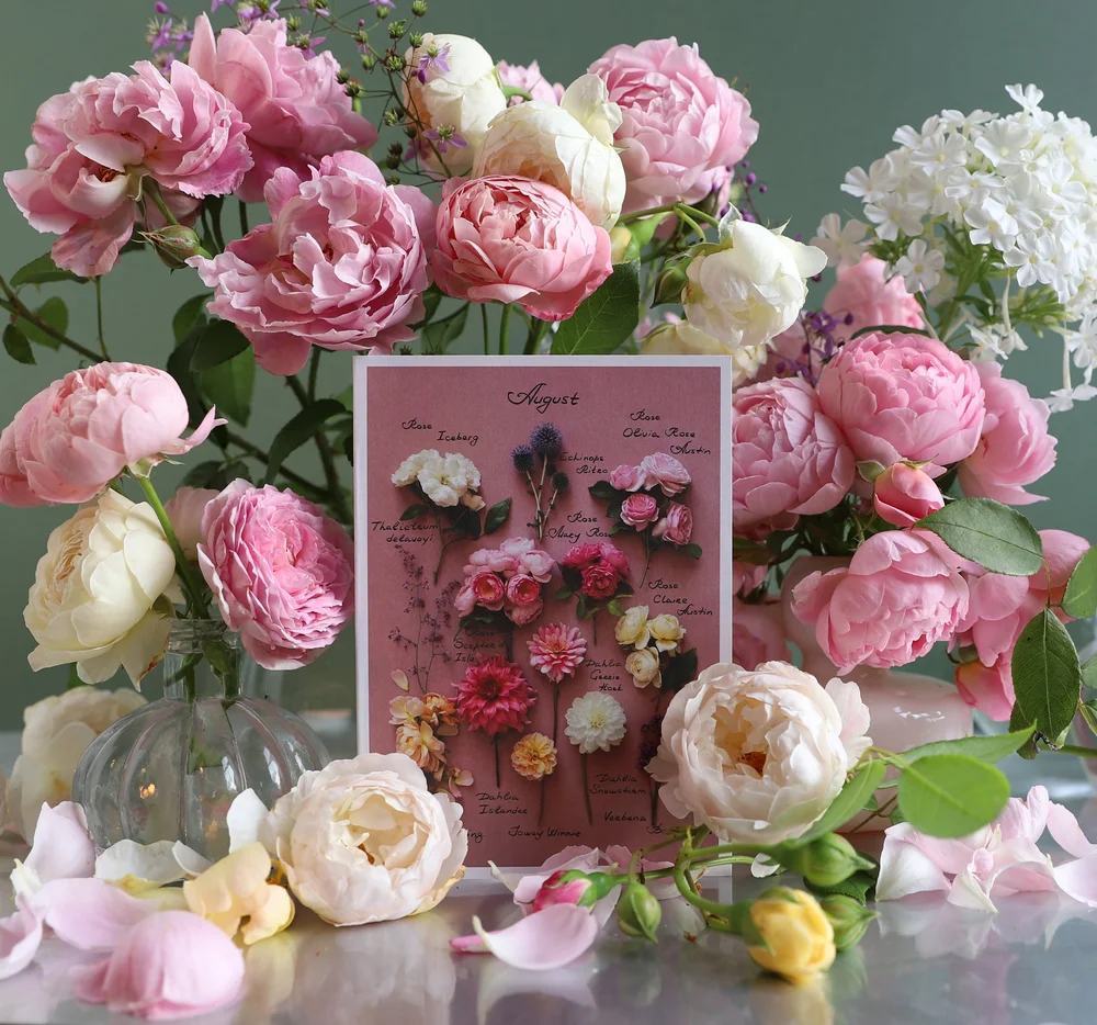 AUGUST FLOWERS — LONDON BLOOMS
