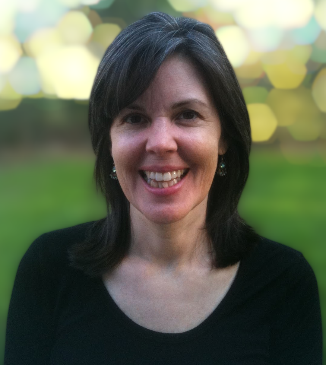 Skirts at War book — Jennifer Newcomb