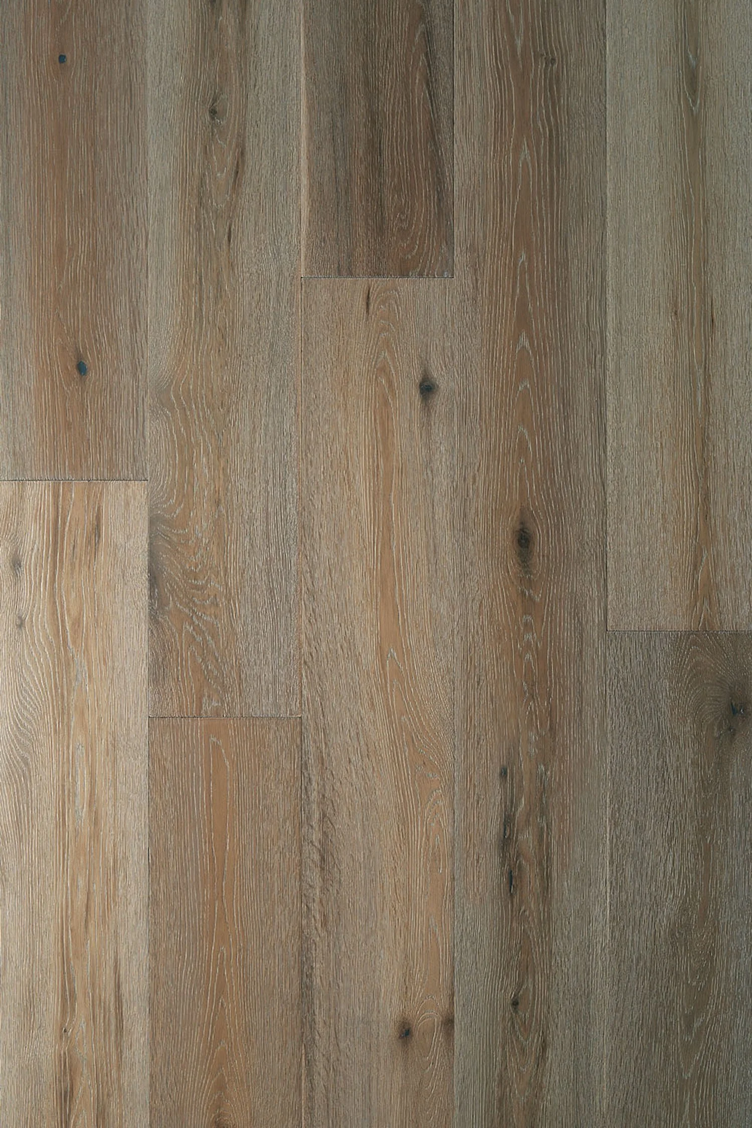 Avaron-Family Legacy Collection