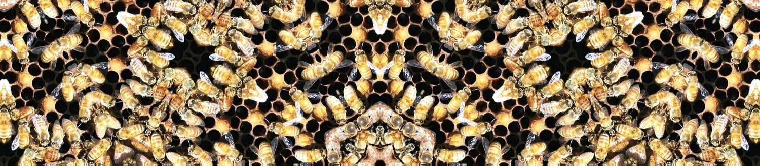Three Hive Consulting