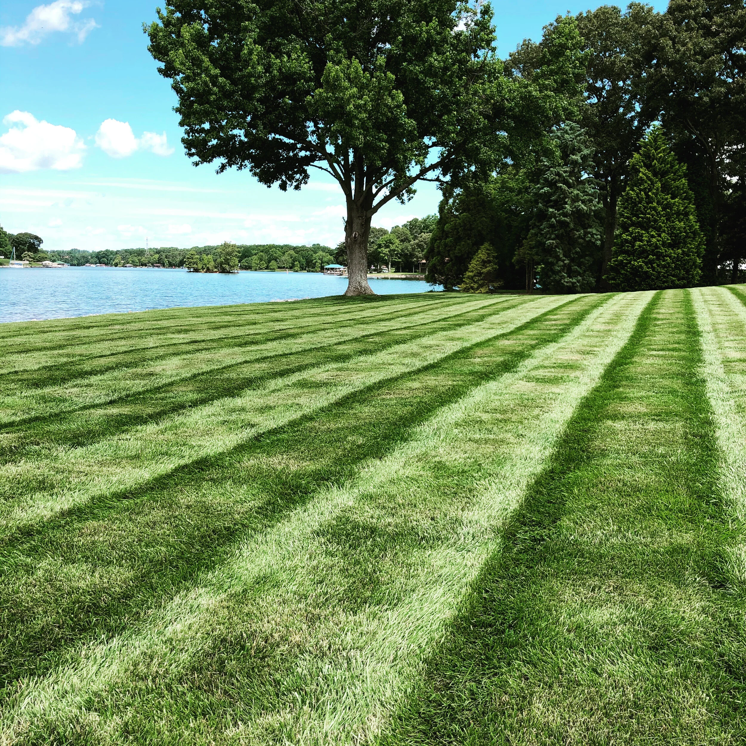 Cornerstone Landscaping