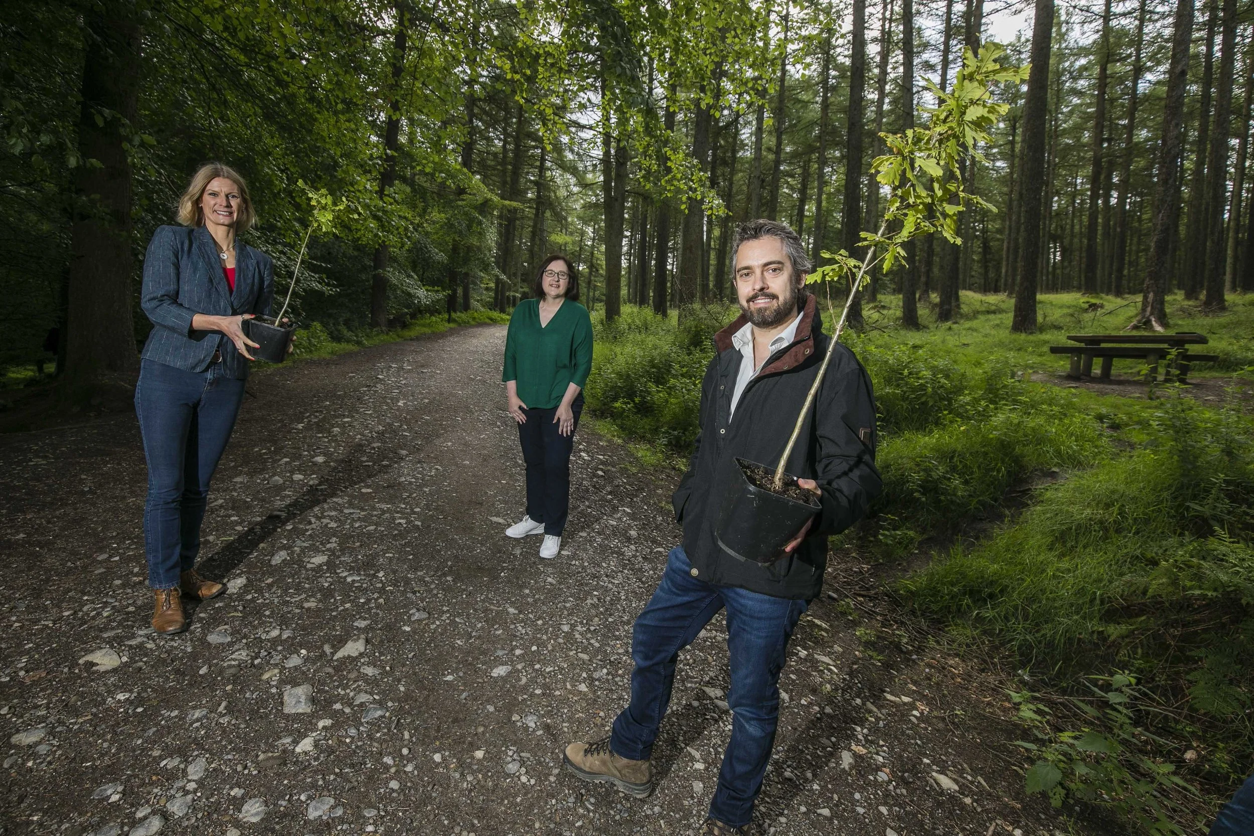 AXA Ireland Epitomises Greenwashing — IrishEVs