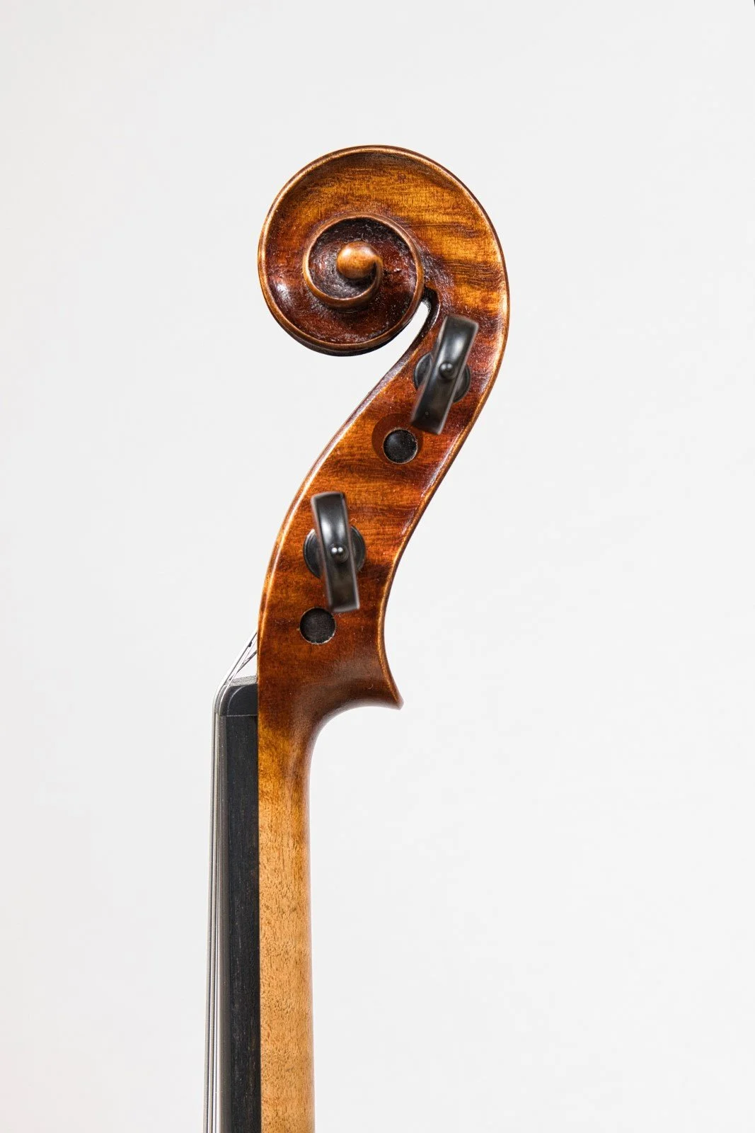 L’Albero Fiorito, 2020: A Fine Violin Handmade in the Ruschil workshop ...