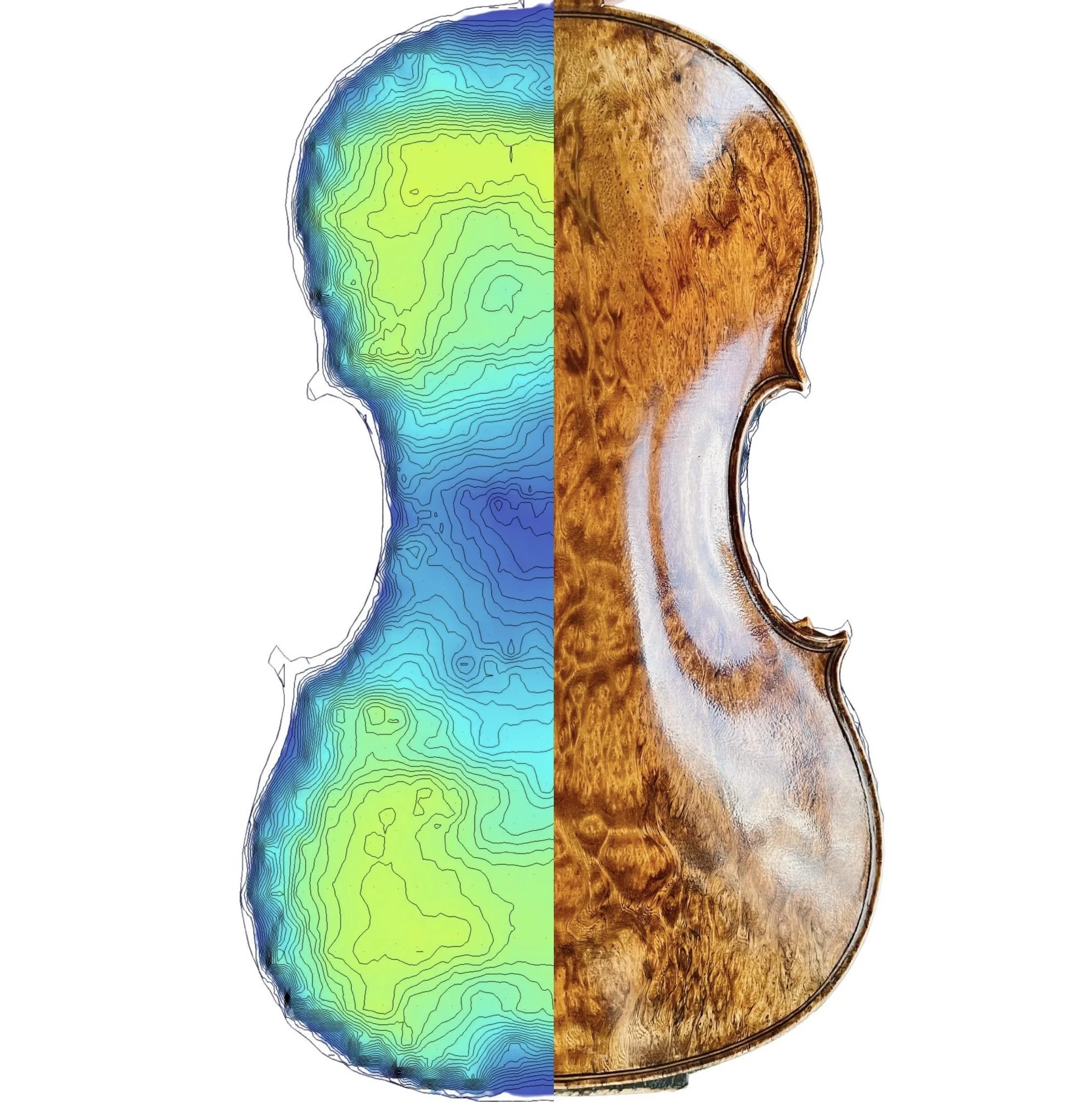 Violin Thickness Mapping | Luthier Services - Ruschil London