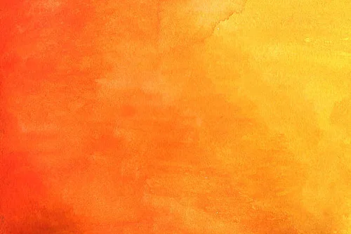 Sun Pure Botanicals