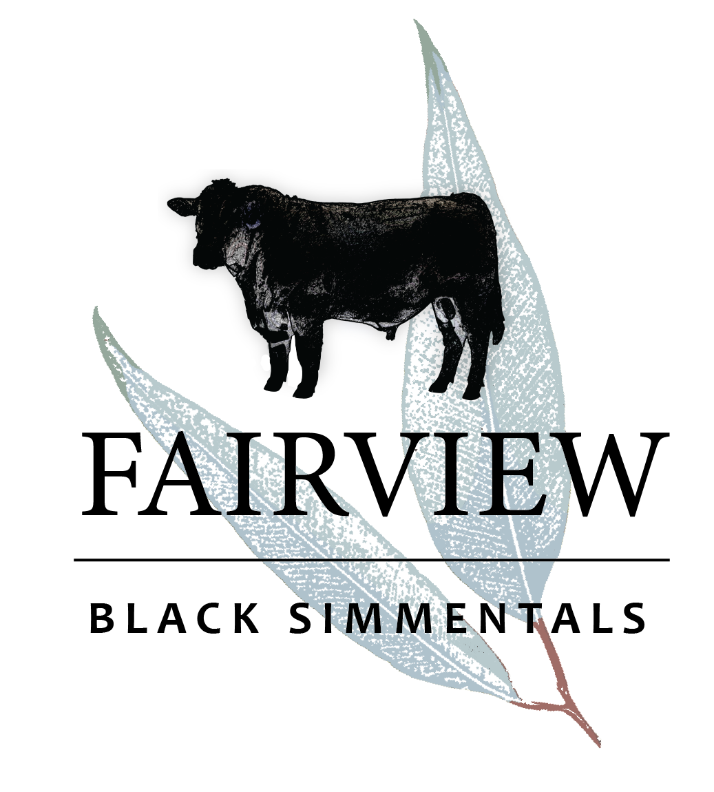 Contact — Fairview Black Simmentals