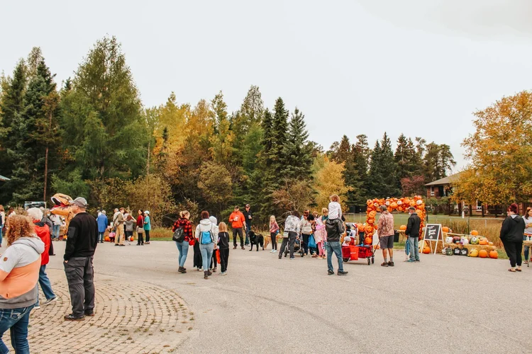 Harvest Hay Day — Dryden Fall Fest
