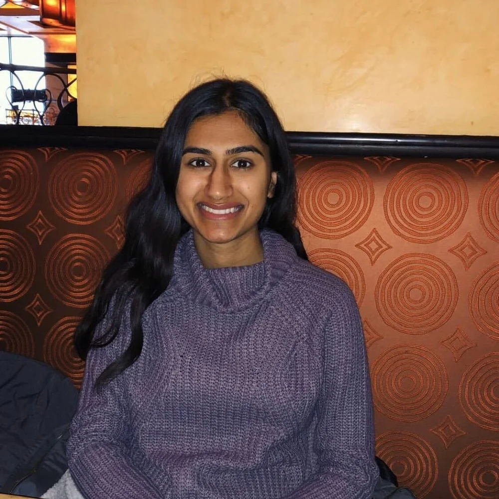 "Humans" by Jasmine Bedi — Our June 2020 Bronze Medal Winner — Blank ...