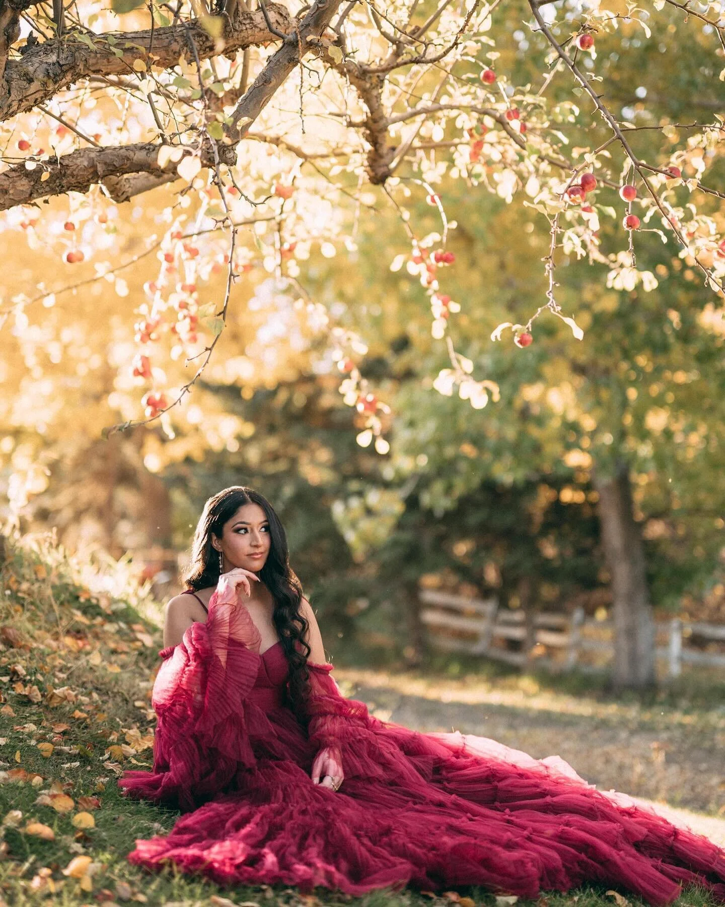 Rachel Turner Photography