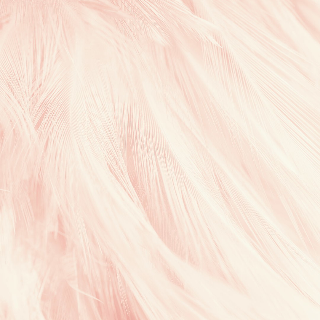 Indigo Salon & Wellness