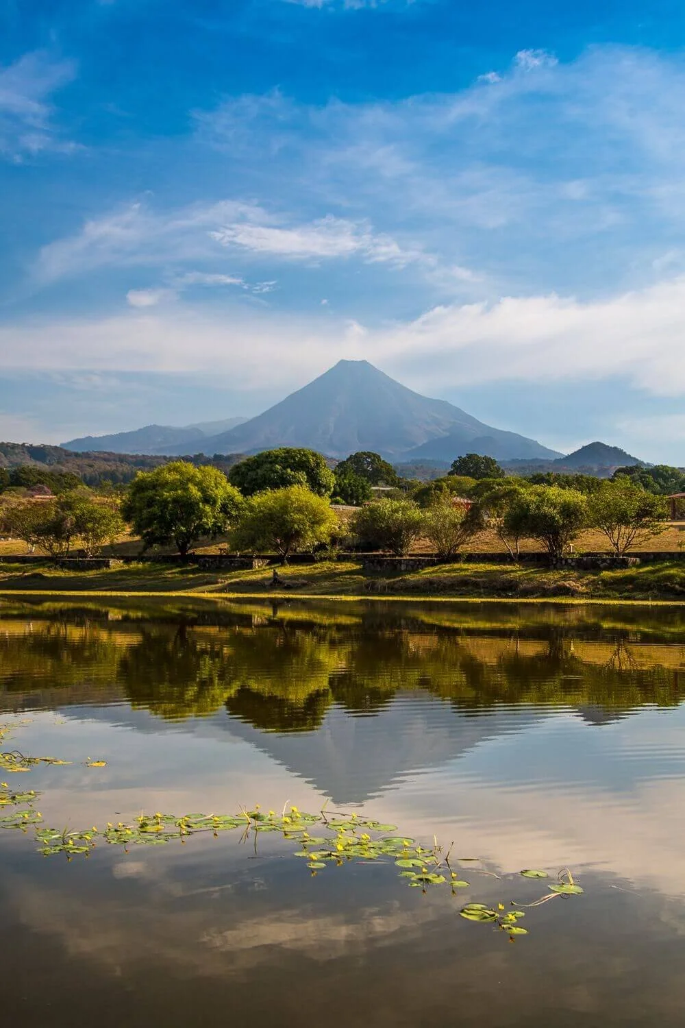 Comida típica de Colima: rica del mar a la montaña — Don Viajes