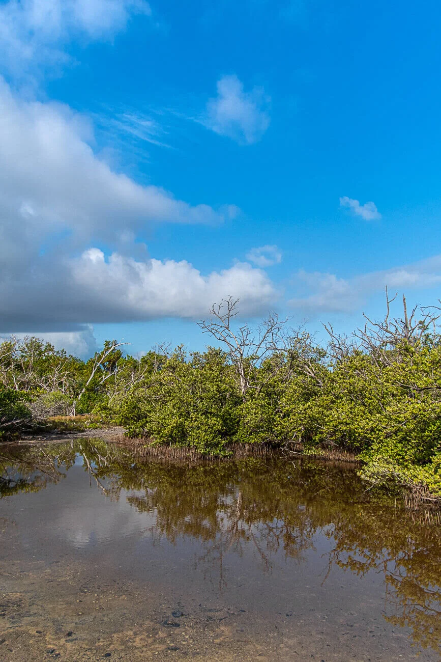 Playas Naturales En Key West