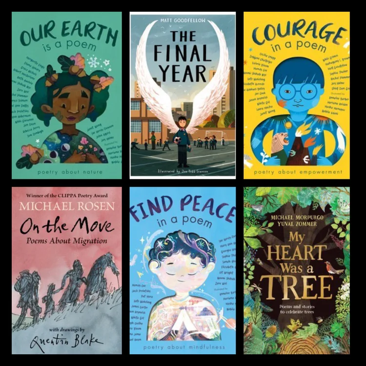 The Final Year by Matt Goodfellow — Chestnut Books