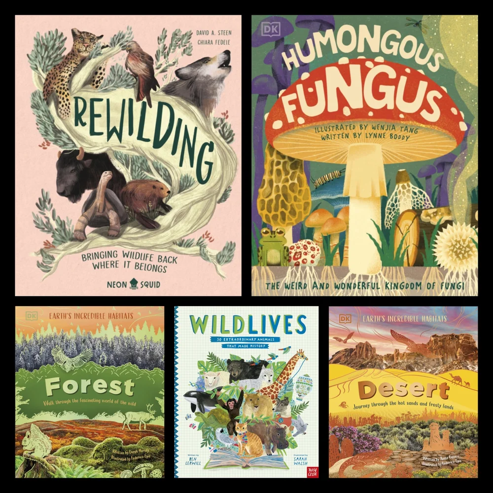Best Topic Books for Primary Schools — Chestnut Books