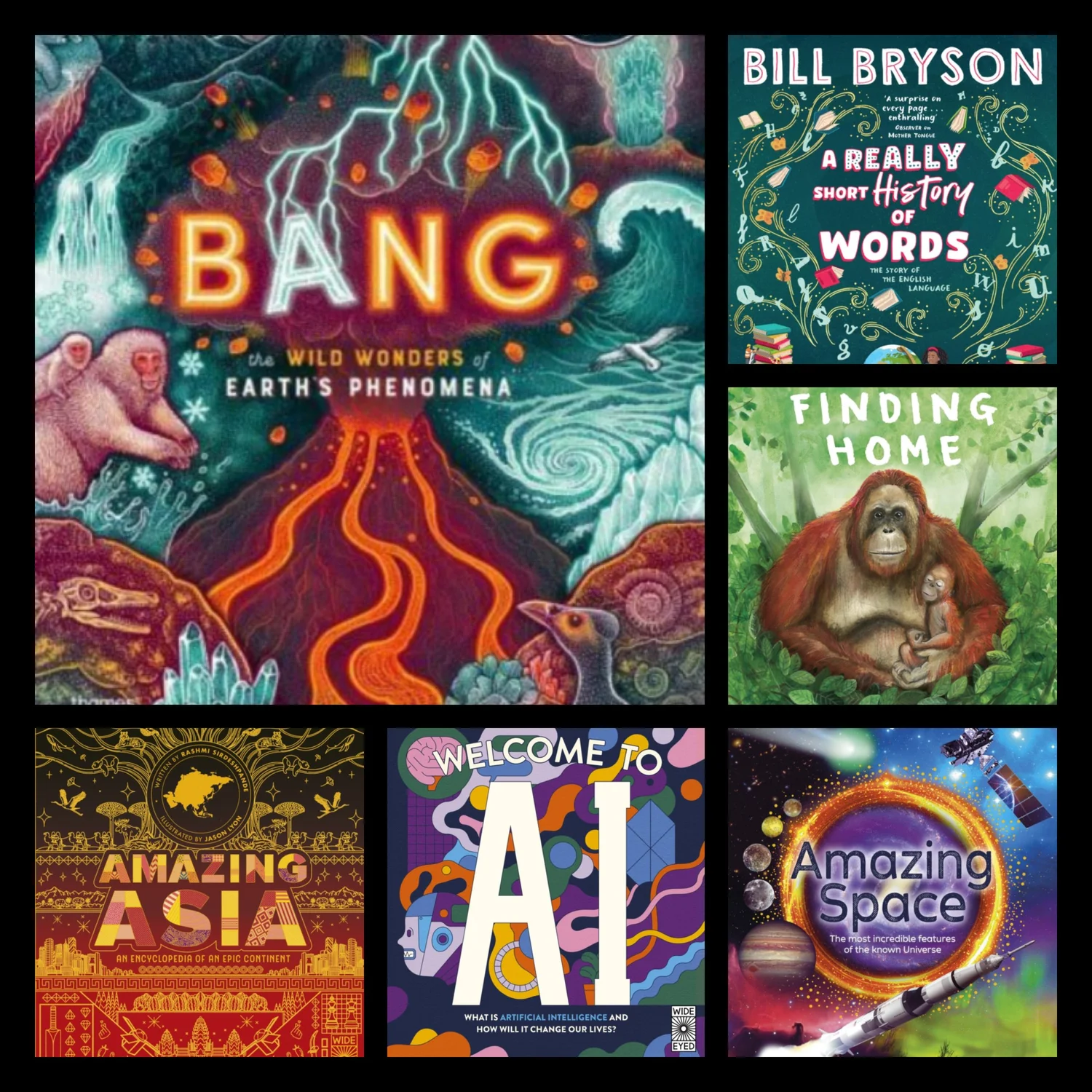 The Explorer by Katherine Rundell — Chestnut Books