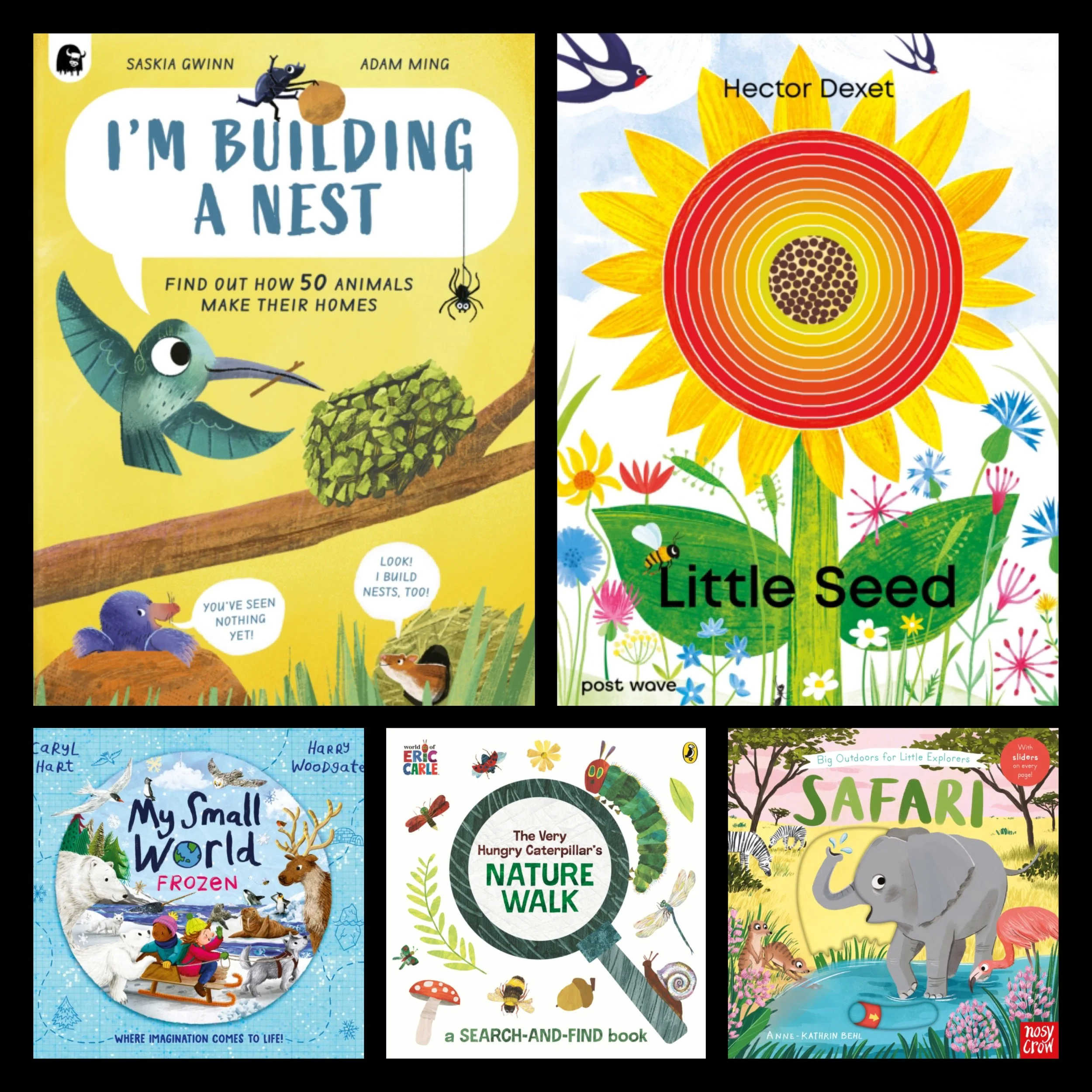 Best Topic Books for Primary Schools — Chestnut Books