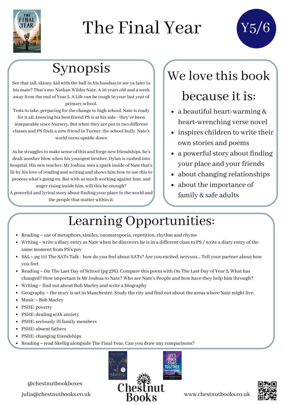 The Final Year by Matt Goodfellow — Chestnut Books