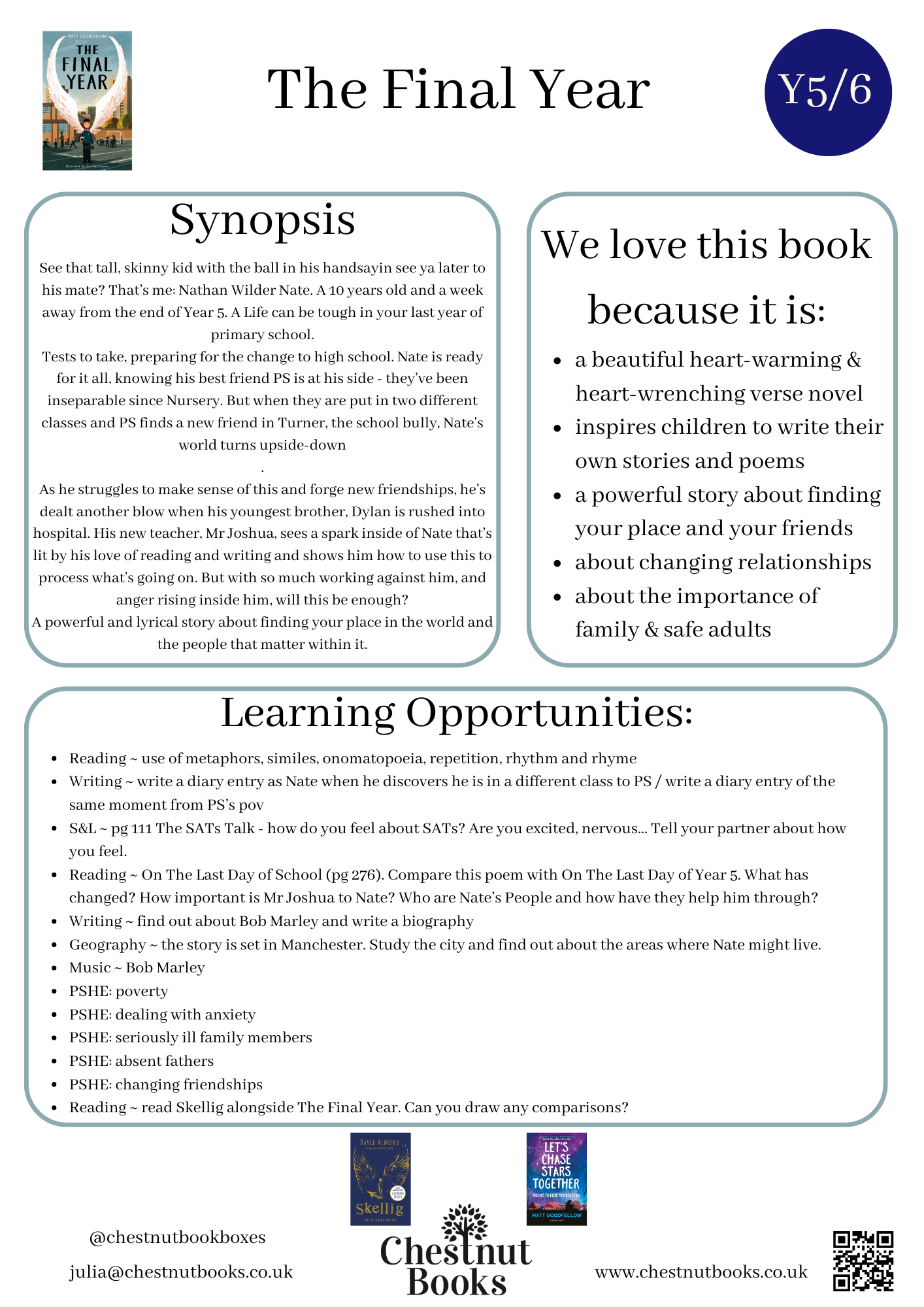 The Final Year by Matt Goodfellow — Chestnut Books