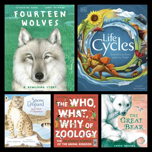 Best Topic Books for Primary Schools — Chestnut Books