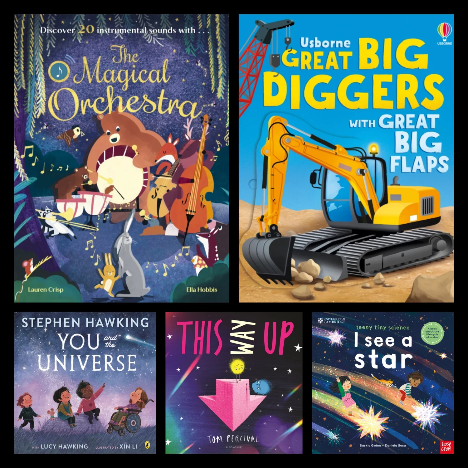 Best Topic Books for Primary Schools — Chestnut Books