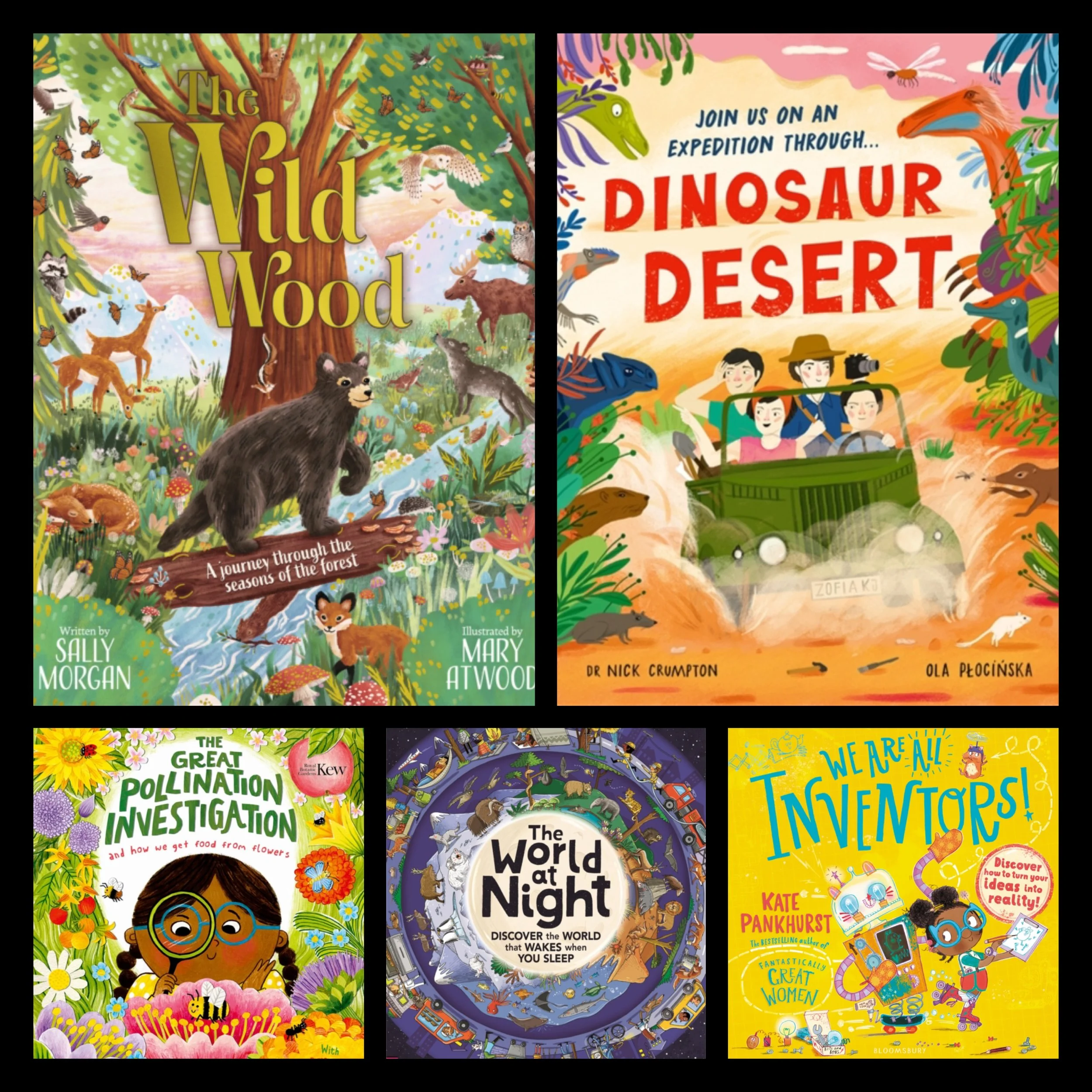 Best Topic Books for Primary Schools — Chestnut Books