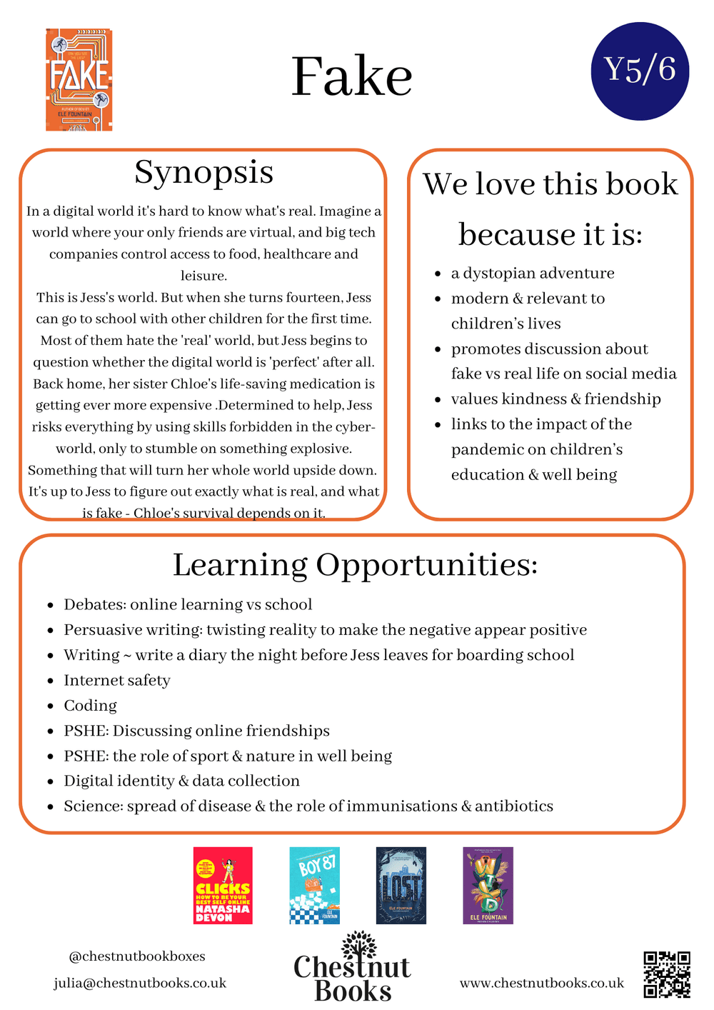 Fake by Ele Fountain — Chestnut Books