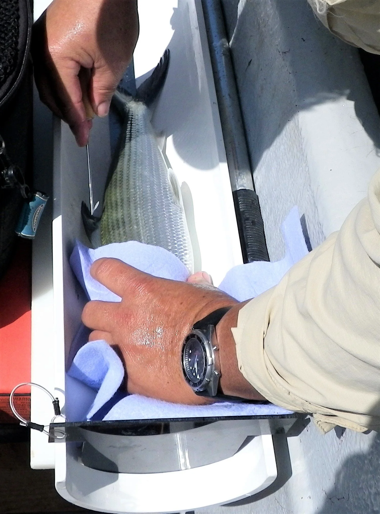 Pacific Island Fisheries Group