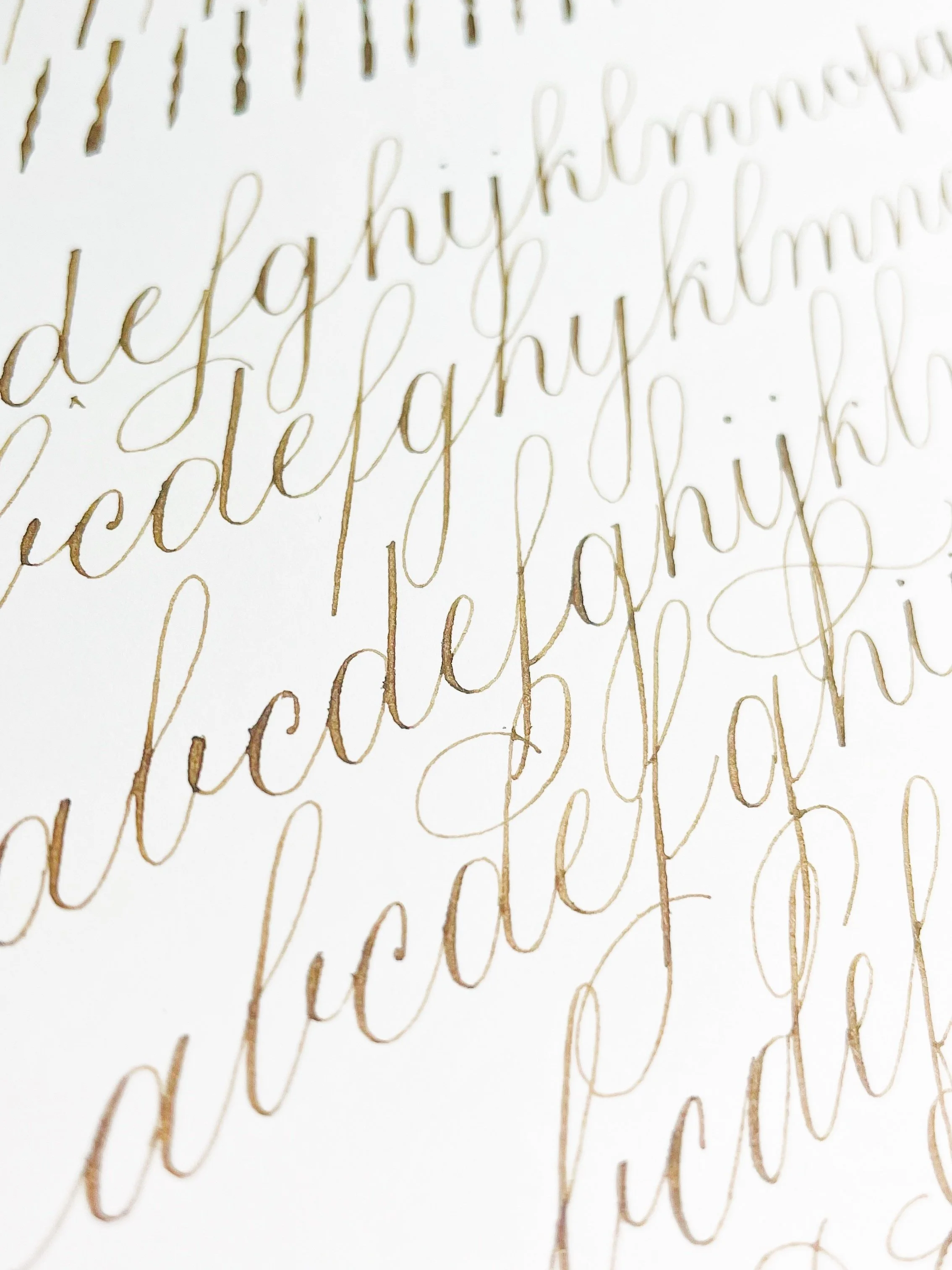 What Does Six Months Of Calligraphy Practice Look Like? — Stacey ...