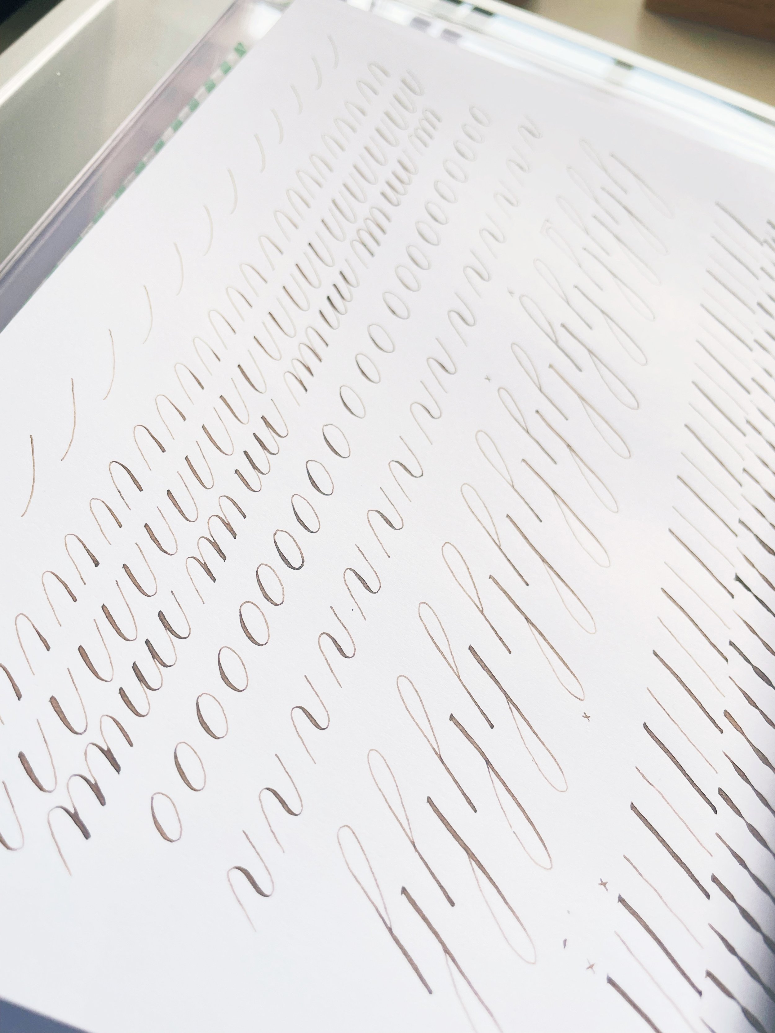 What Does Six Months Of Calligraphy Practice Look Like? — Stacey ...