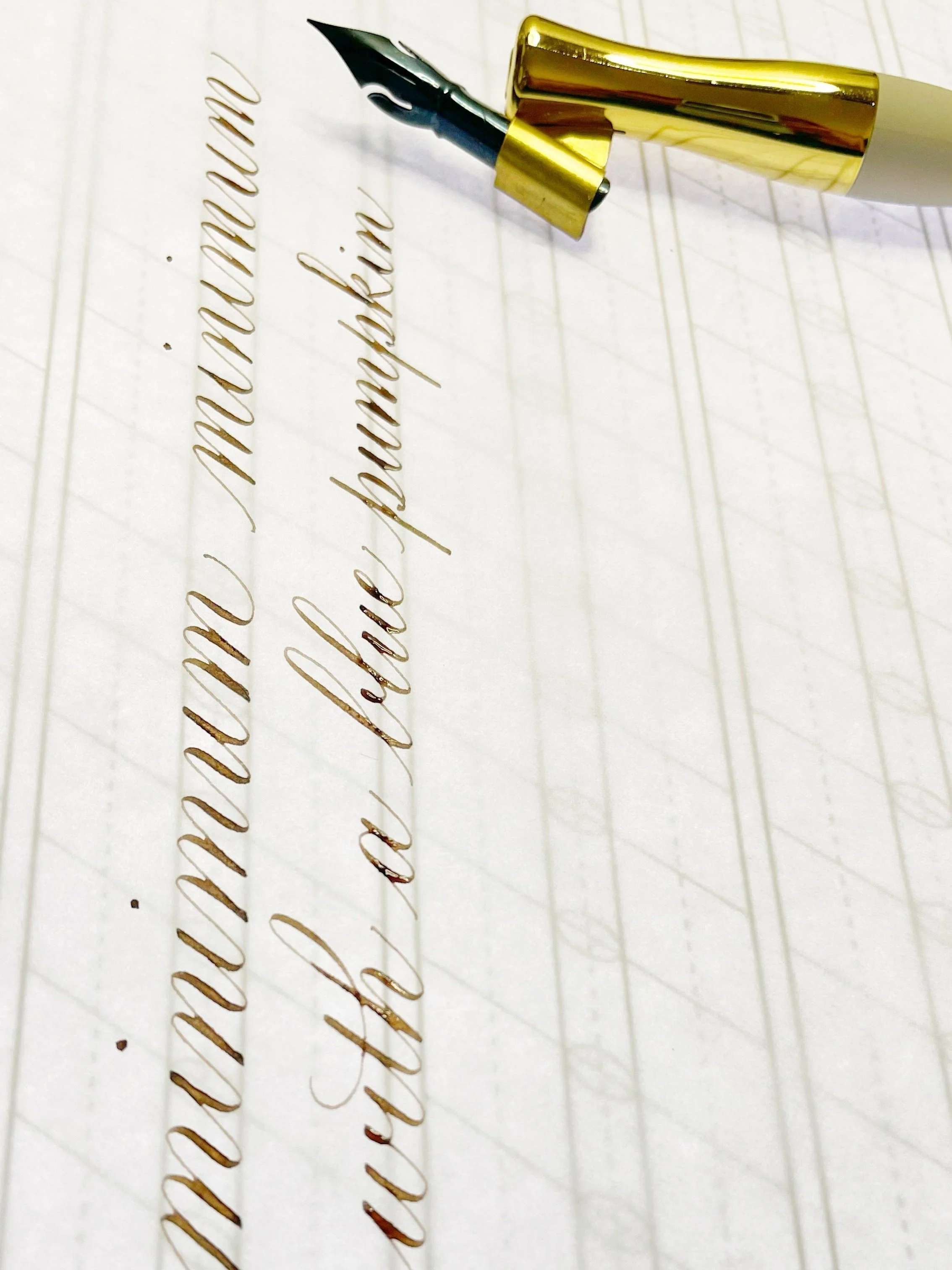 Developing Preferences - The Creature Comforts of Calligraphy — Stacey ...