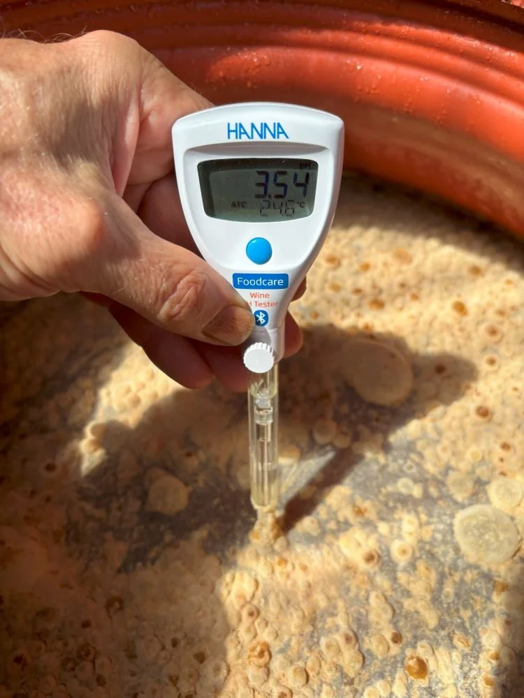 How to make LAB (Lactic Acid Bacteria) culture — Manna Hill Estate