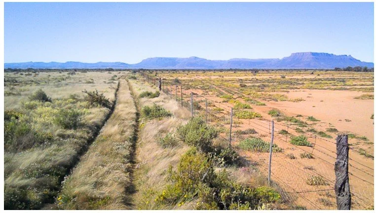 The importance of grazing management — Manna Hill Estate