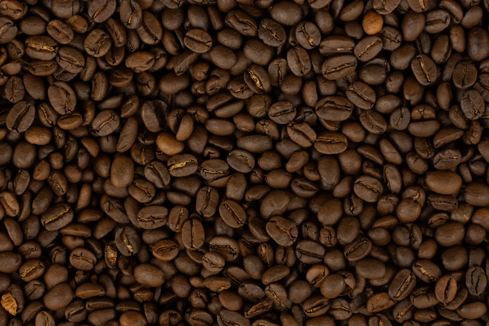 Barefoot Roastery — Bay Coffee Company