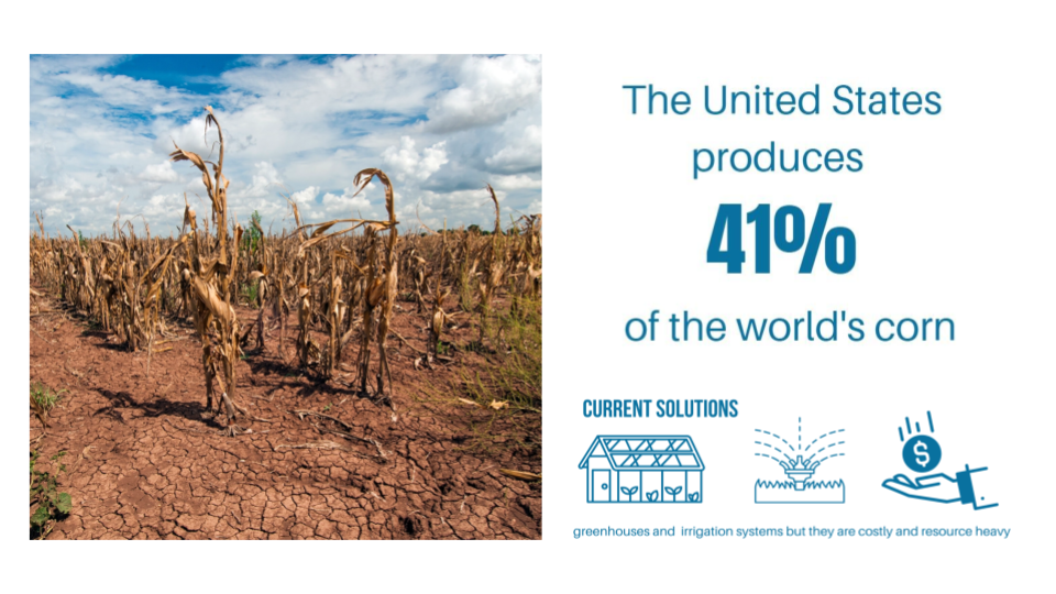engineering - corn wheel — alanafuji