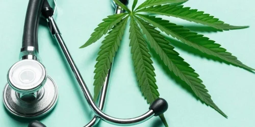 Chronic Illness & Cannabis