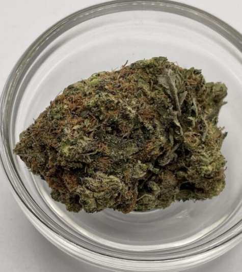 PInk Gushers - Lucky Chuckie