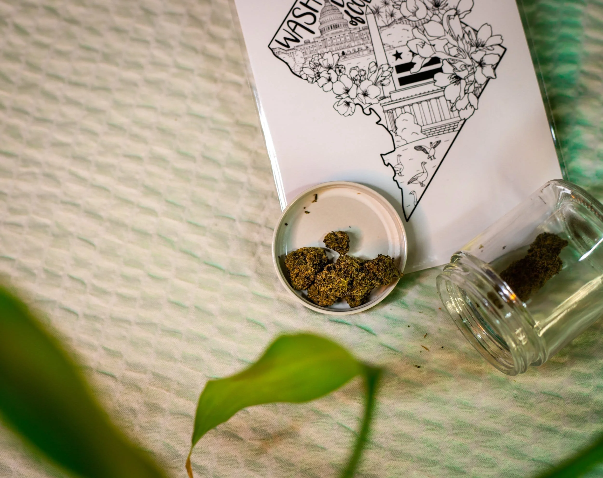 Weed DC - #1 Best Weed Delivery Service Provider In Washington DC