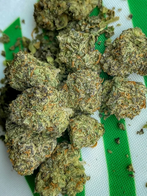 Bubblegum Runtz: A Comprehensive Guide to Growing in Your Garden