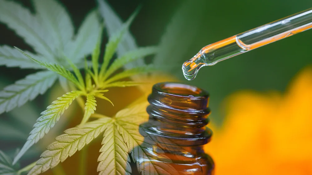 CBD Tea Party - Celebrate with us on May 28!