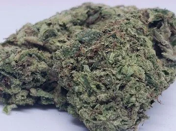 Pop Tarts Strain | Weed Effects & Benefits | Lucky Chuckie