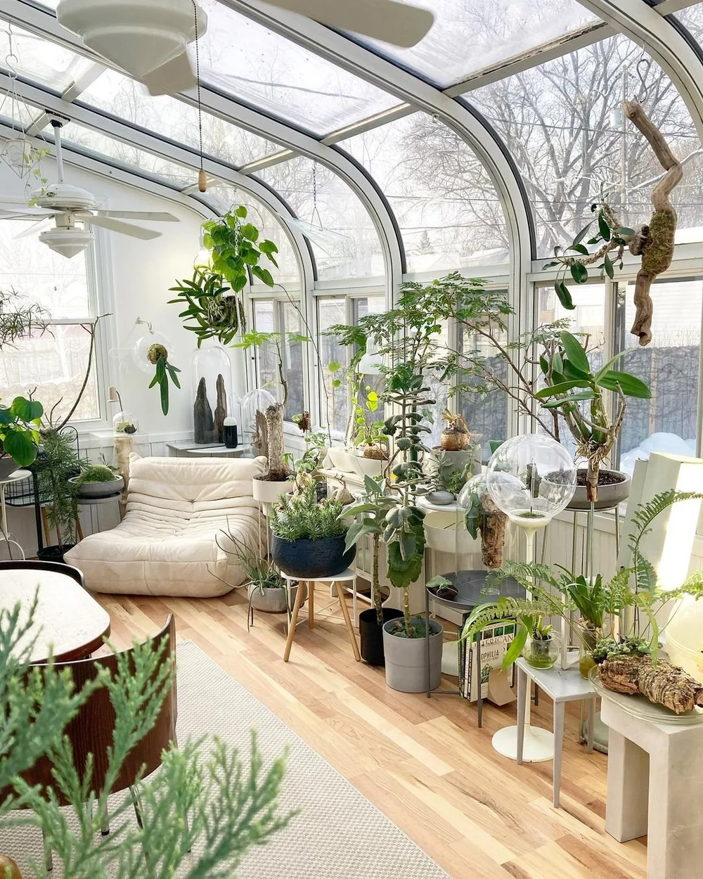 6 SCORLL STOPPING PLANT ROOMS — Brandon Frias