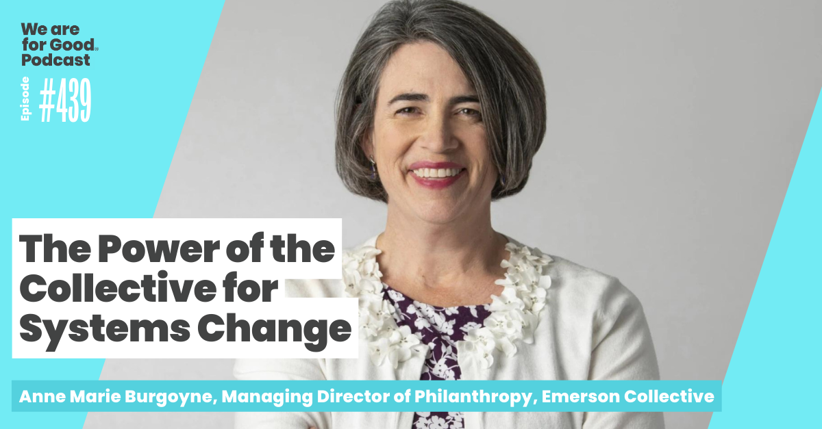 439. The Power of the Collective for Systems Change - Anne Marie ...