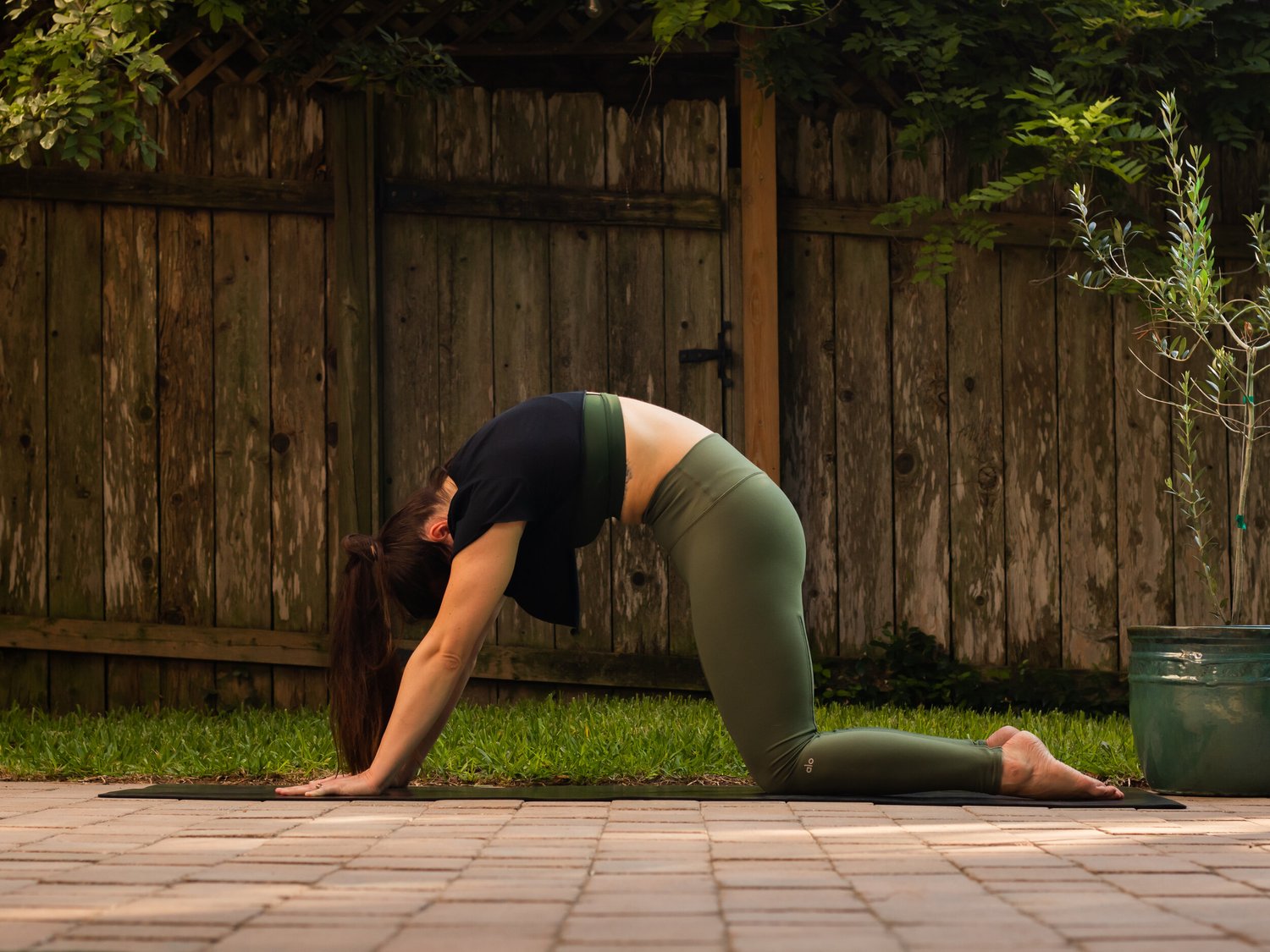 16 Yoga Poses Named After Animals (and what they all represent ...