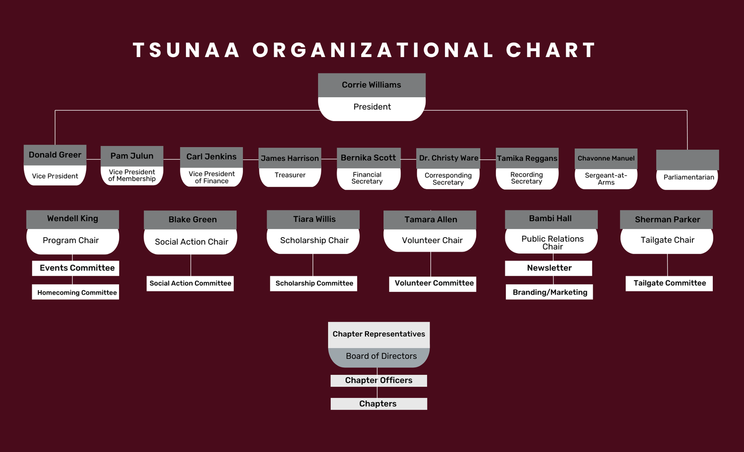 Organization Structure — TSU National Alumni Association