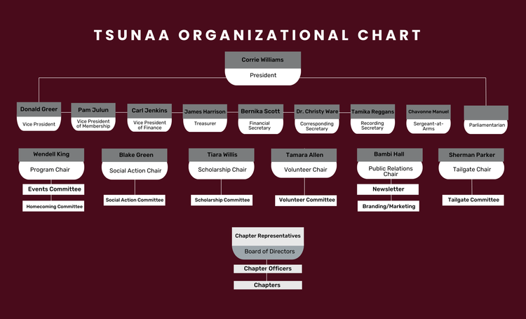 Organization Structure — TSU National Alumni Association